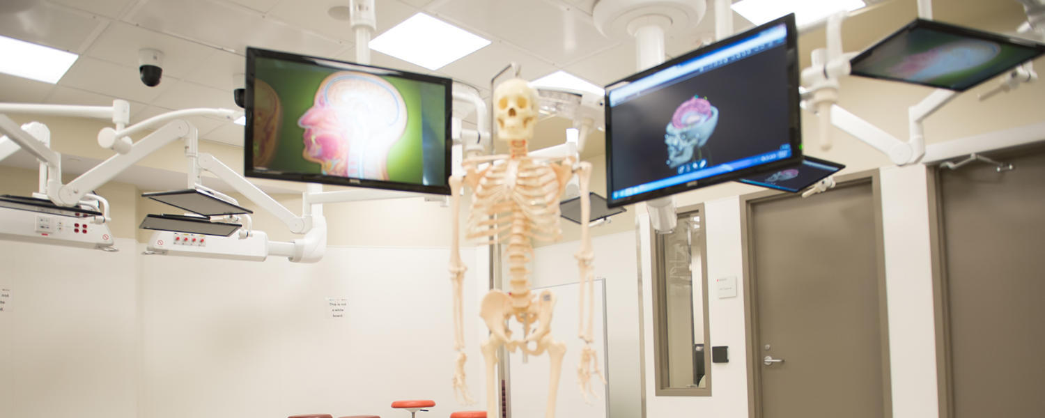 Advanced biomedical imaging | Department of Biomedical Engineering ...