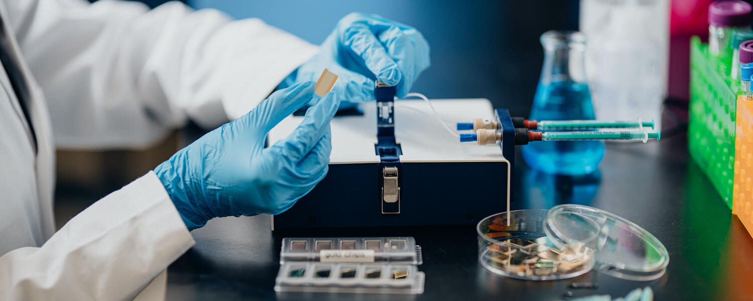 Bachelor of Science in Biomedical Engineering | Schulich School of ...