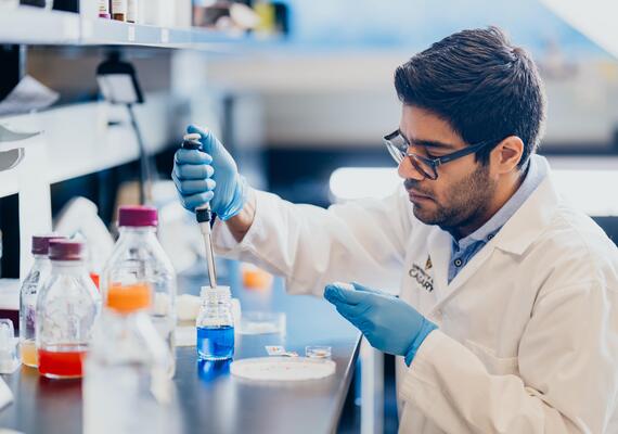 Graduate programs | Department of Biomedical Engineering | Department ...